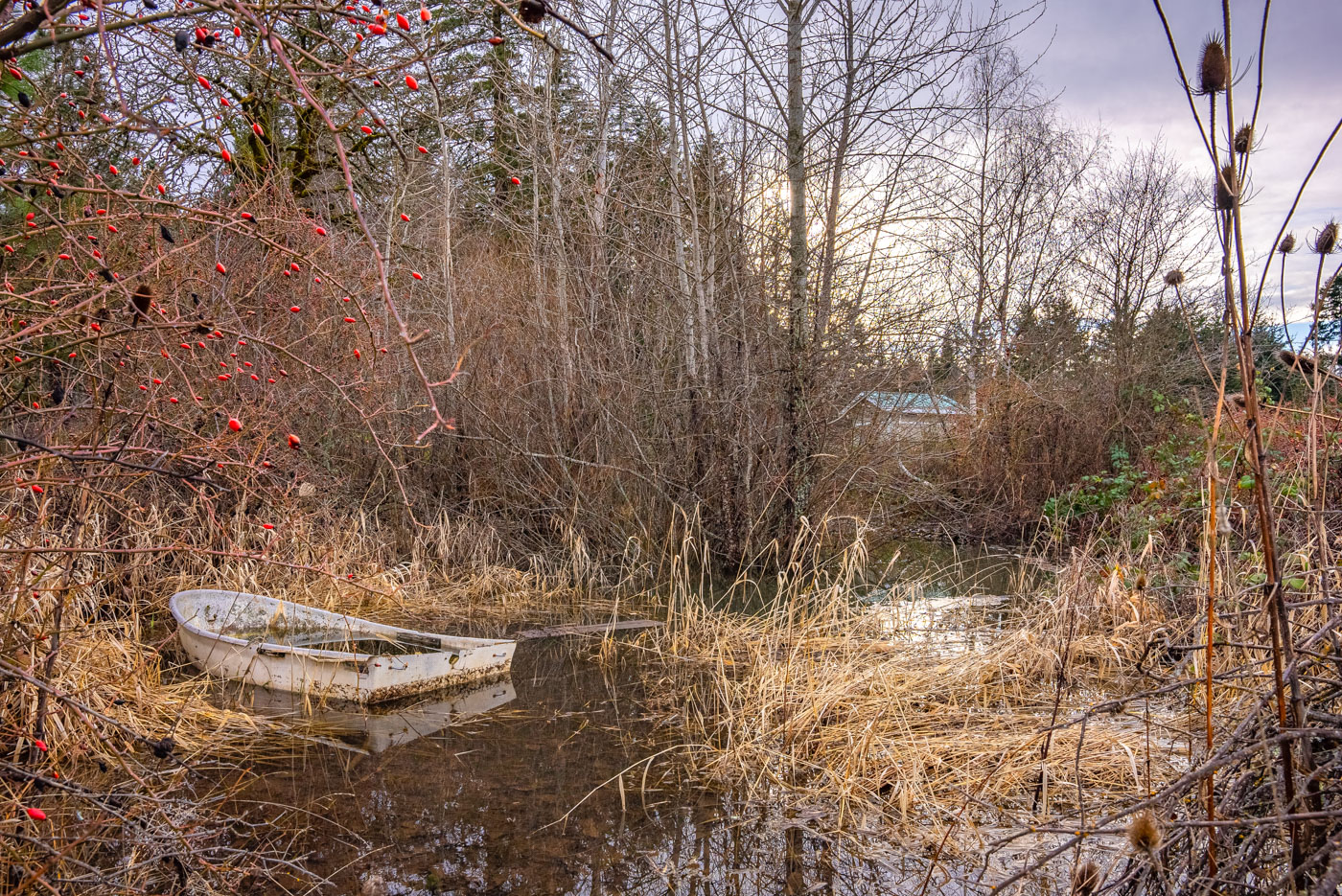 Living in Husum, WA | The Basics Before You Move